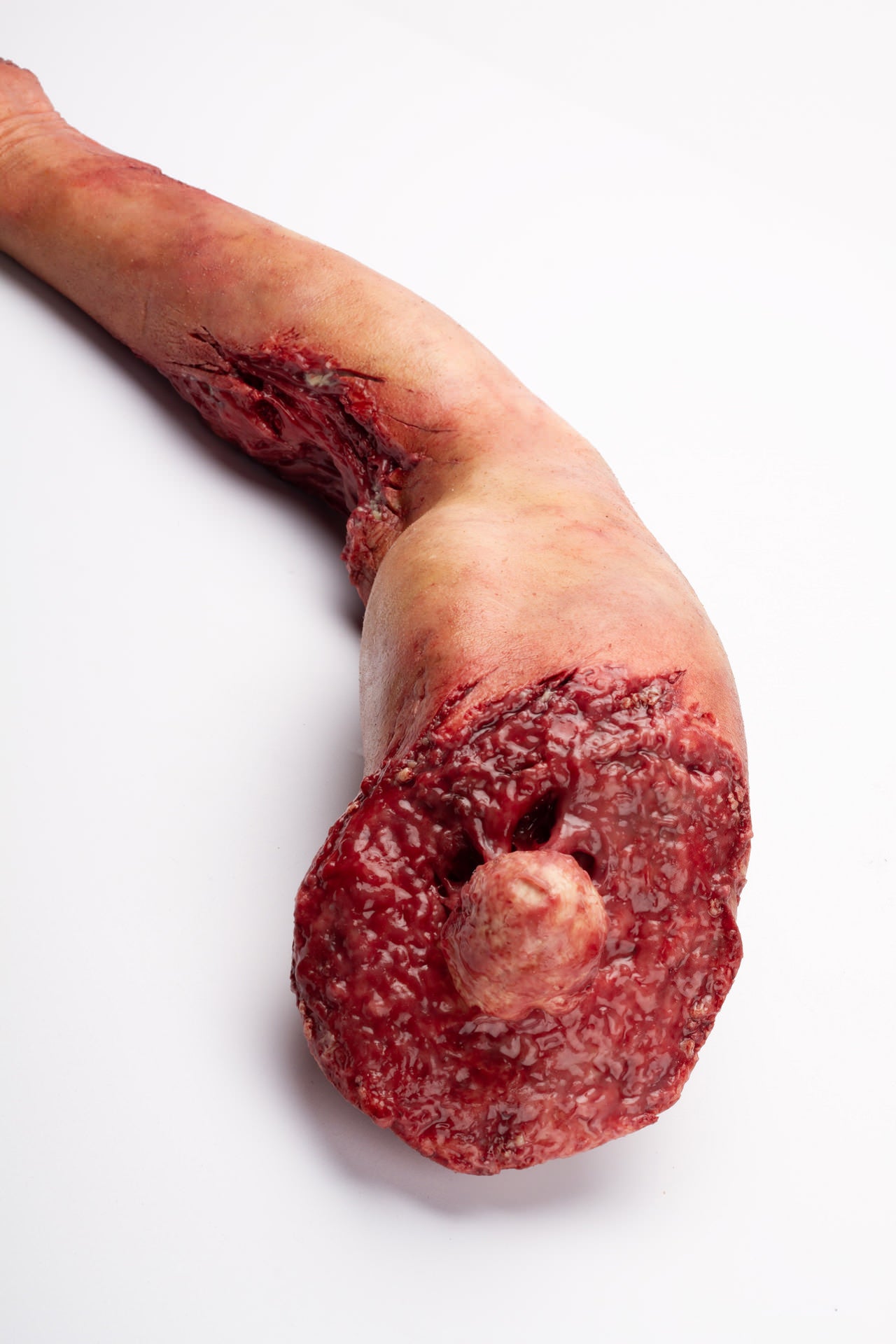 Mangled Left Arm – mastersfx