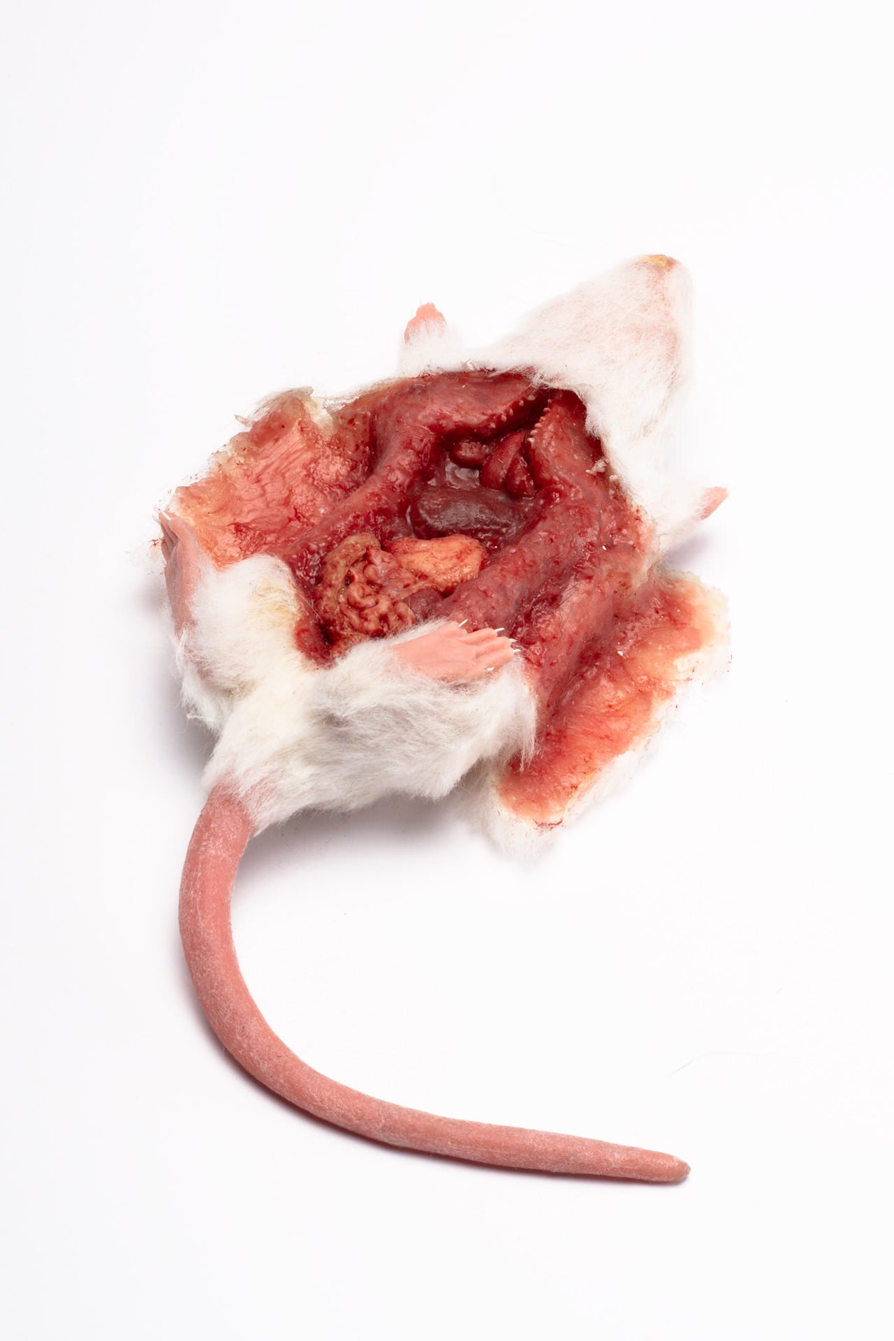 Autopsy Rat – mastersfx