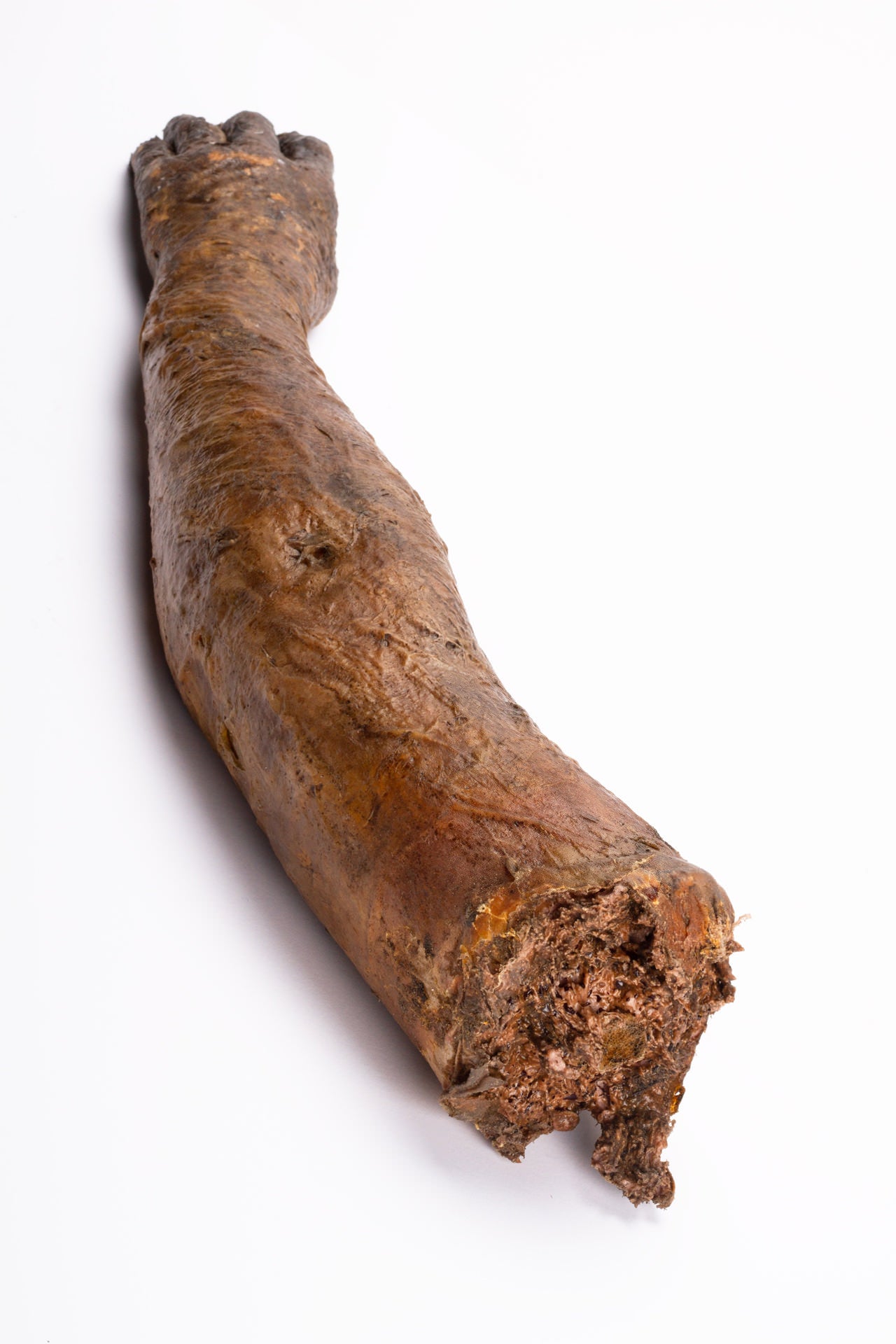 Rotten and Dark Left Arm – mastersfx